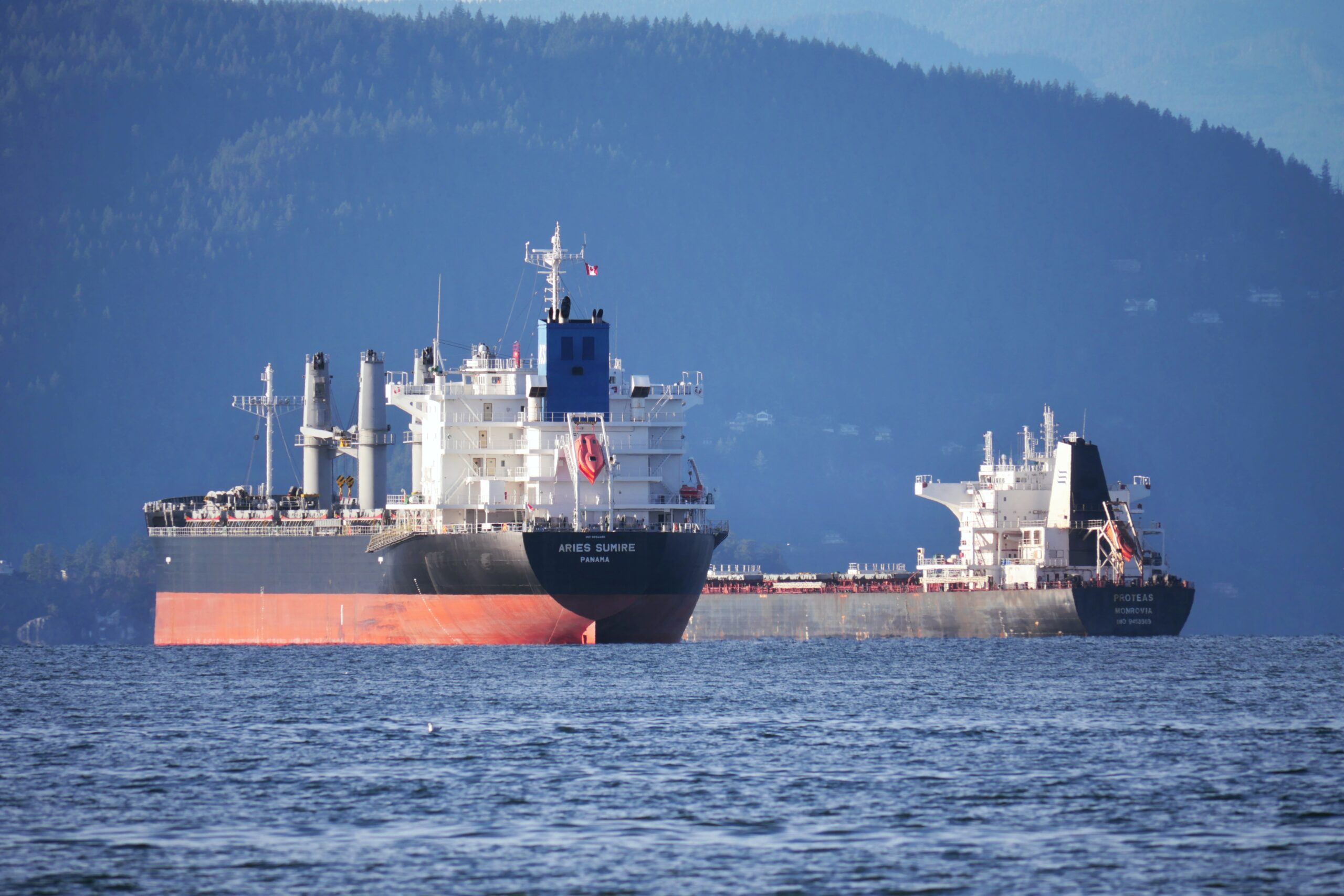 Demystifying CARM: A Guide for Importers - Scarbrough Global